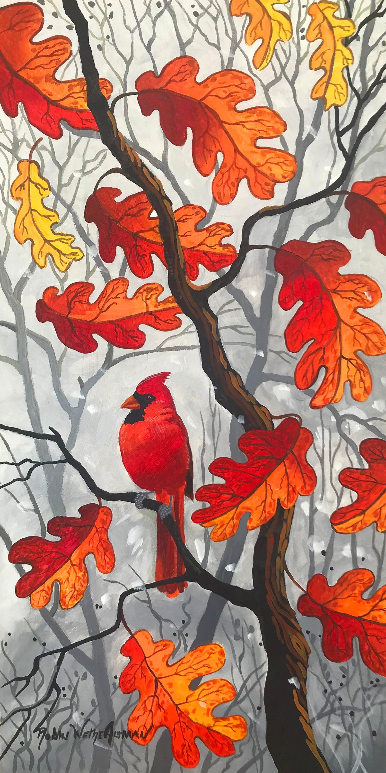 Red Cardinal in Tree, Red Cardinal Fall Leaves, Red Bird, Fall Leaves ...