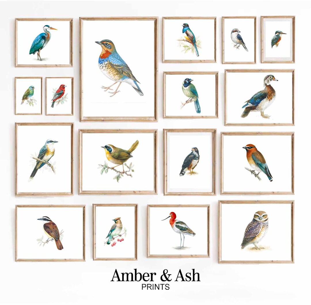 Vintage Bird Wall Art Prints, Botanical Illustrations (digital Download ...