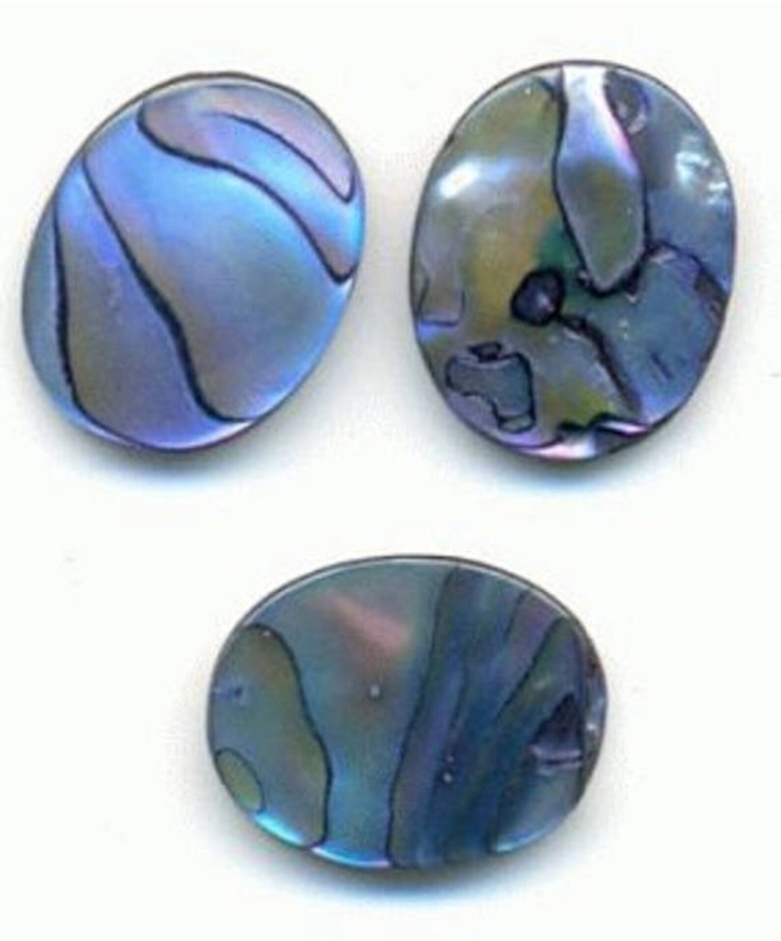 10 X 8mm Blue Abalone Cabochons, Set of 10! #cab256 - Etsy