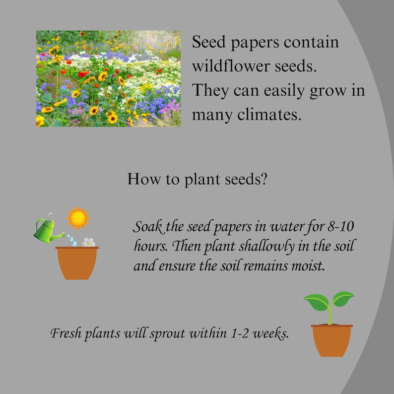 Personalized Seed Paper Cards – Eco Friendly Custom Plantable Favors ...