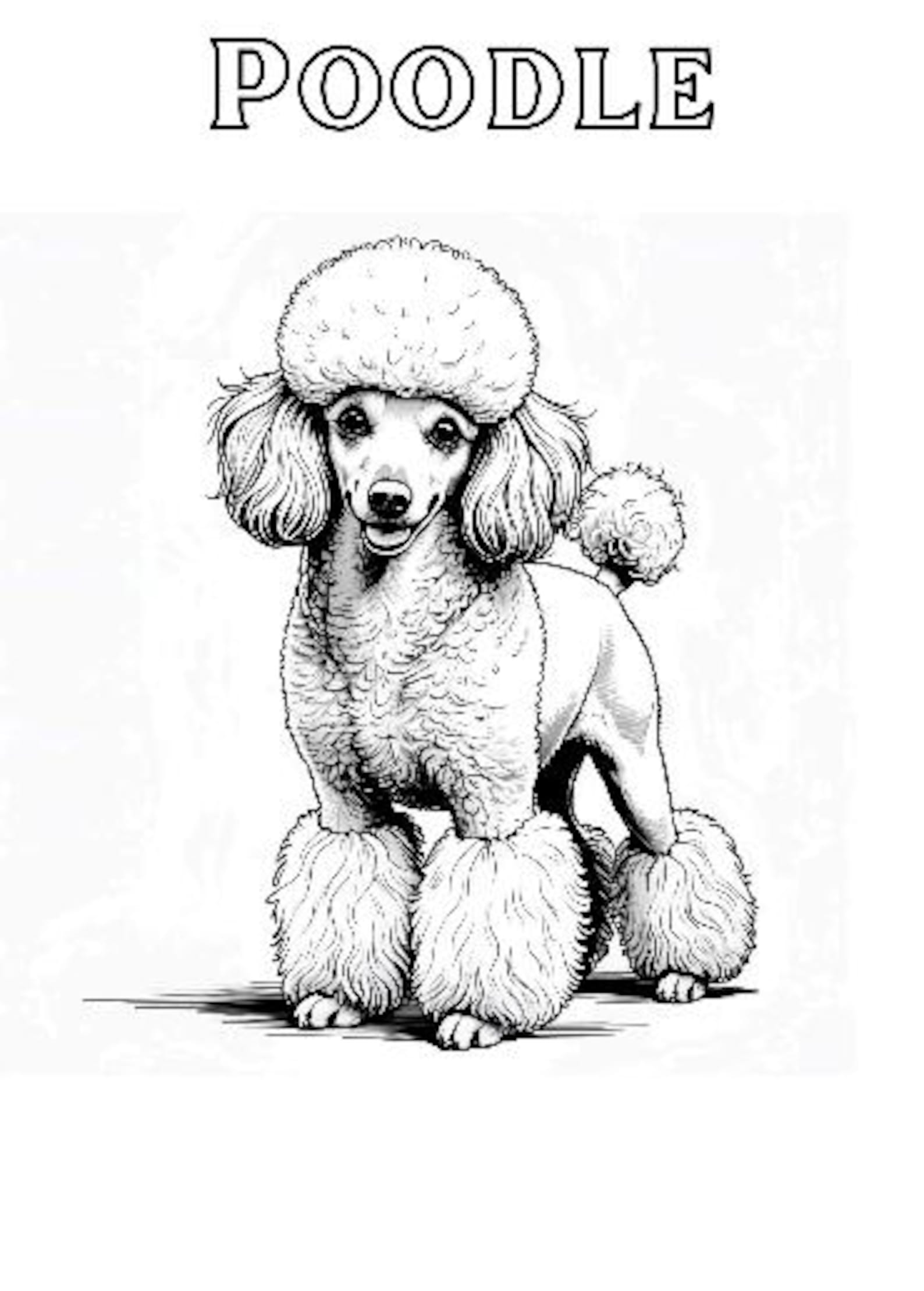 Printable Dog Coloring Sheets - 14 Breeds of Dogs - Etsy