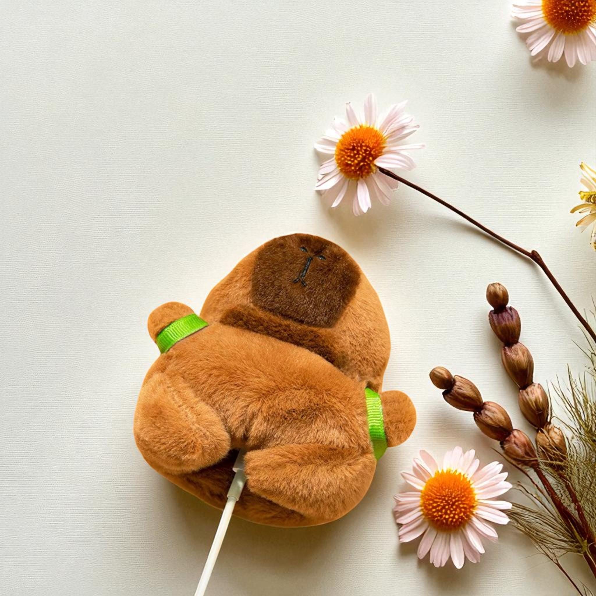 Capybara Airpods Case With Turtle Backpack: Soft Plush Earbuds Cover - Etsy