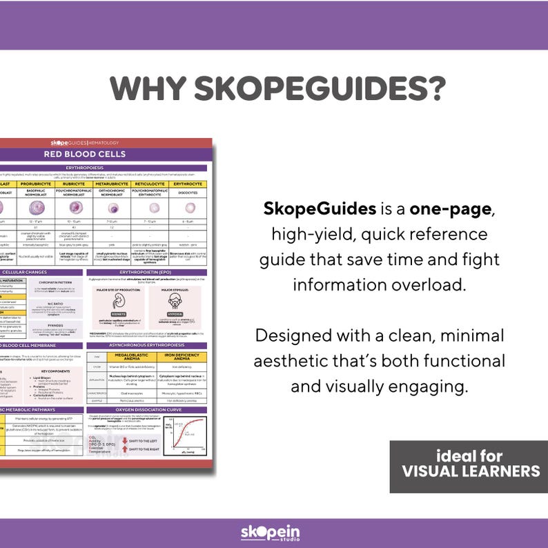 Red Blood Cells Hematology Quick Reference Guide: MLS MLT ASCP Exam ...