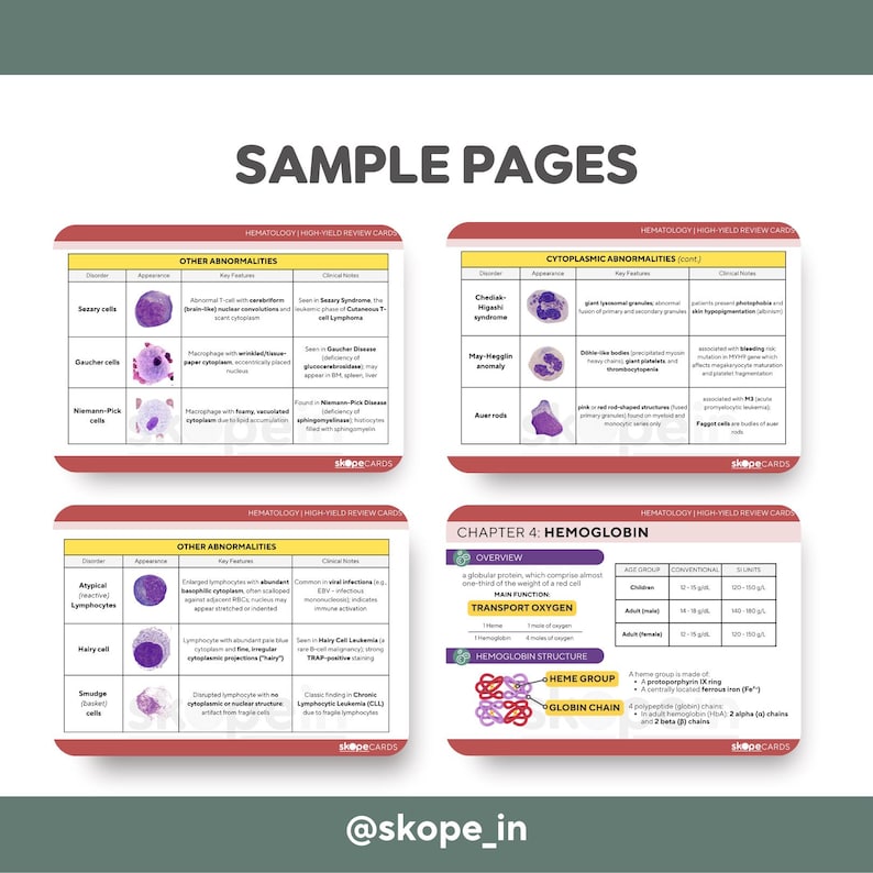 Hematology Flashcards Part 1 | for ASCP BOC, Medtech Exams | Study ...