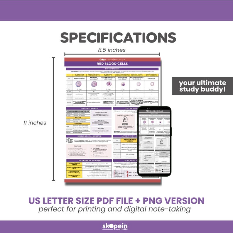 Red Blood Cells Hematology Quick Reference Guide: MLS MLT ASCP Exam ...