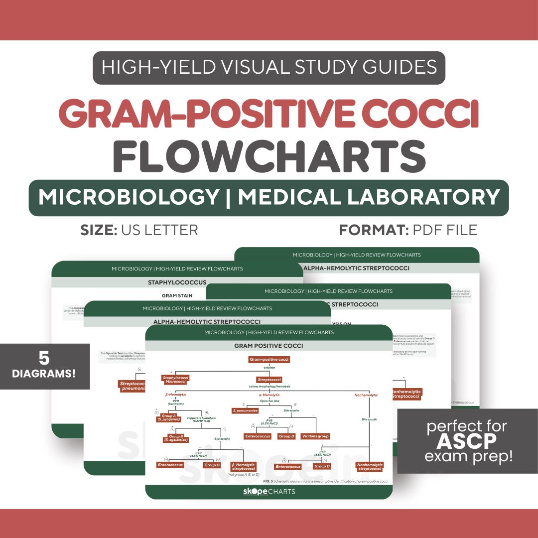 Gram-positive Cocci Flowcharts | Microbiology Study Guide (digital PDF ...