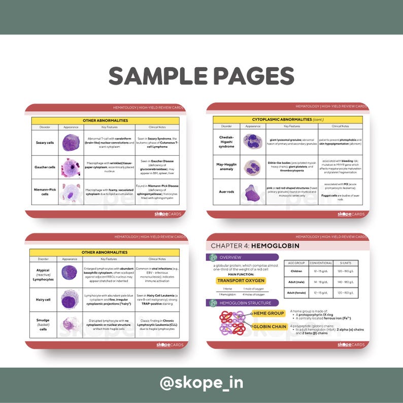 Hematology Flashcards Bundle: ASCP Exam Study Guide (digital PDF ...