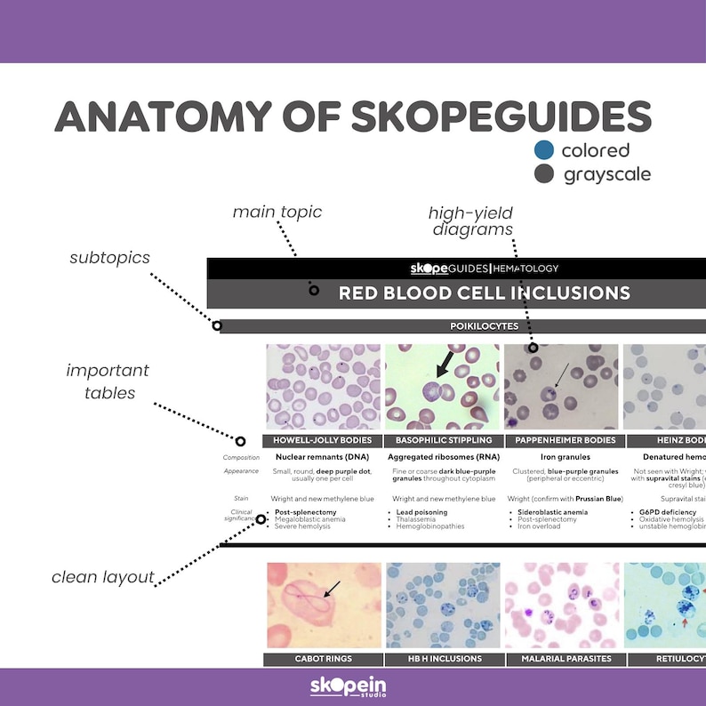 Hematology RBC Inclusions Quick Reference Guide: ASCP Exam Prep ...