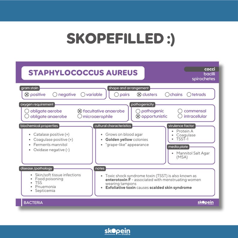 Microbiology Flashcard Templates: Bacteria Study Cards for ASCP MLS ...