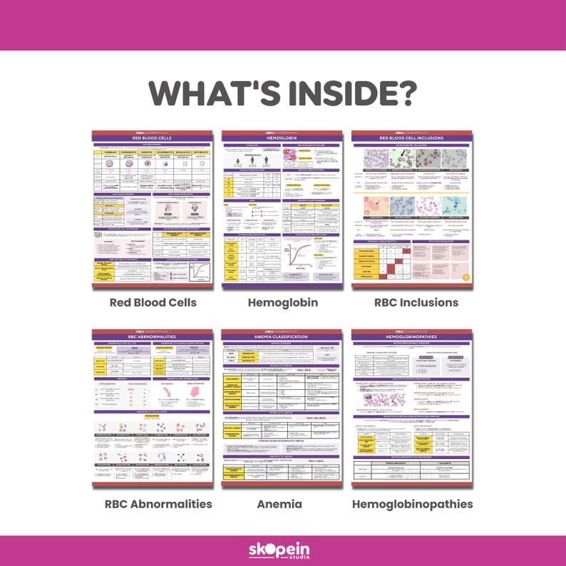Hematology Part 1 BUNDLE Reviewer Quick Reference Review Guide: MLS ...