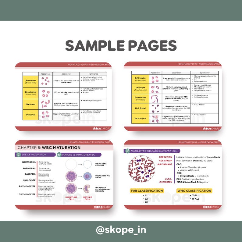 Hematology Flashcards Bundle: ASCP Exam Study Guide (digital PDF ...