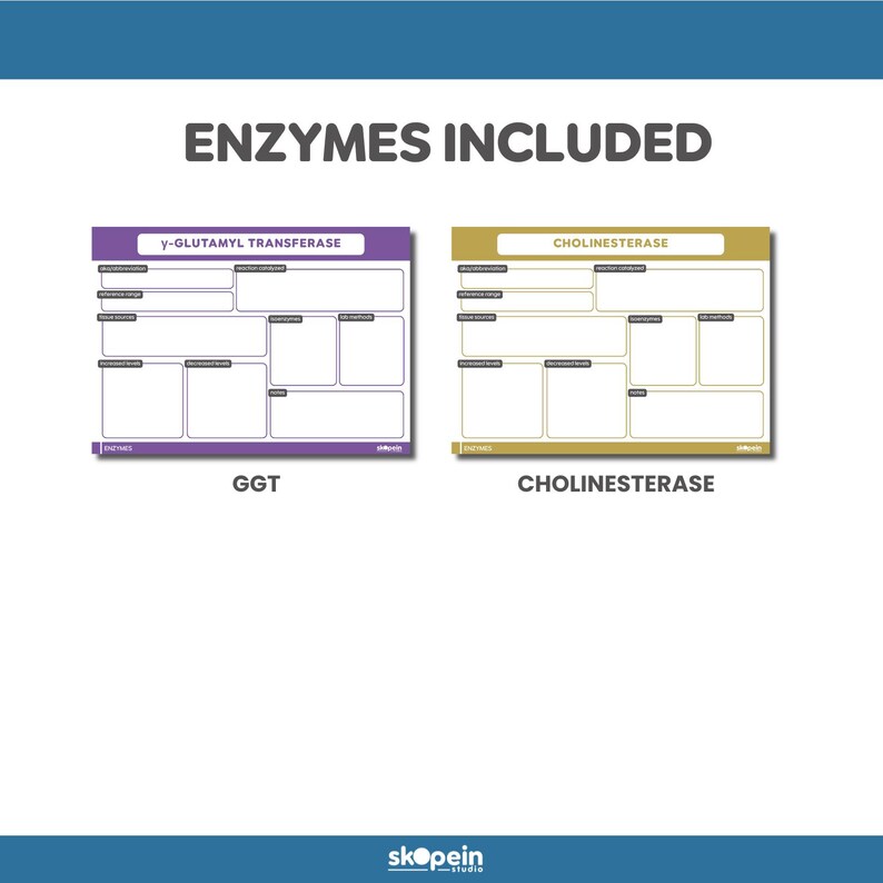 Enzymes Flashcard Template: Printable Chemistry Study Cards (fillable ...