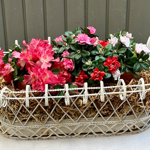 Wire Basket Planter - Etsy