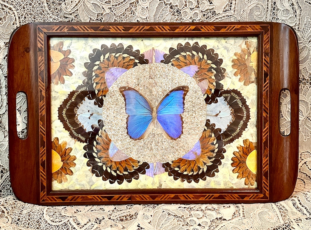 Vintage Butterfly Wing Tray, Blue Morpho Butterfly Wing Inlaid Wood ...