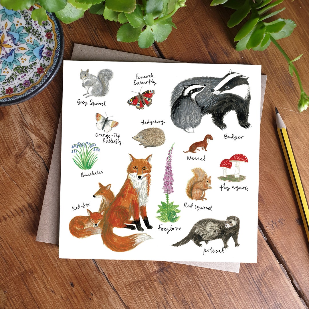 Woodland Creatures Card, Animal Greeting Card, UK Wildlife Art ...