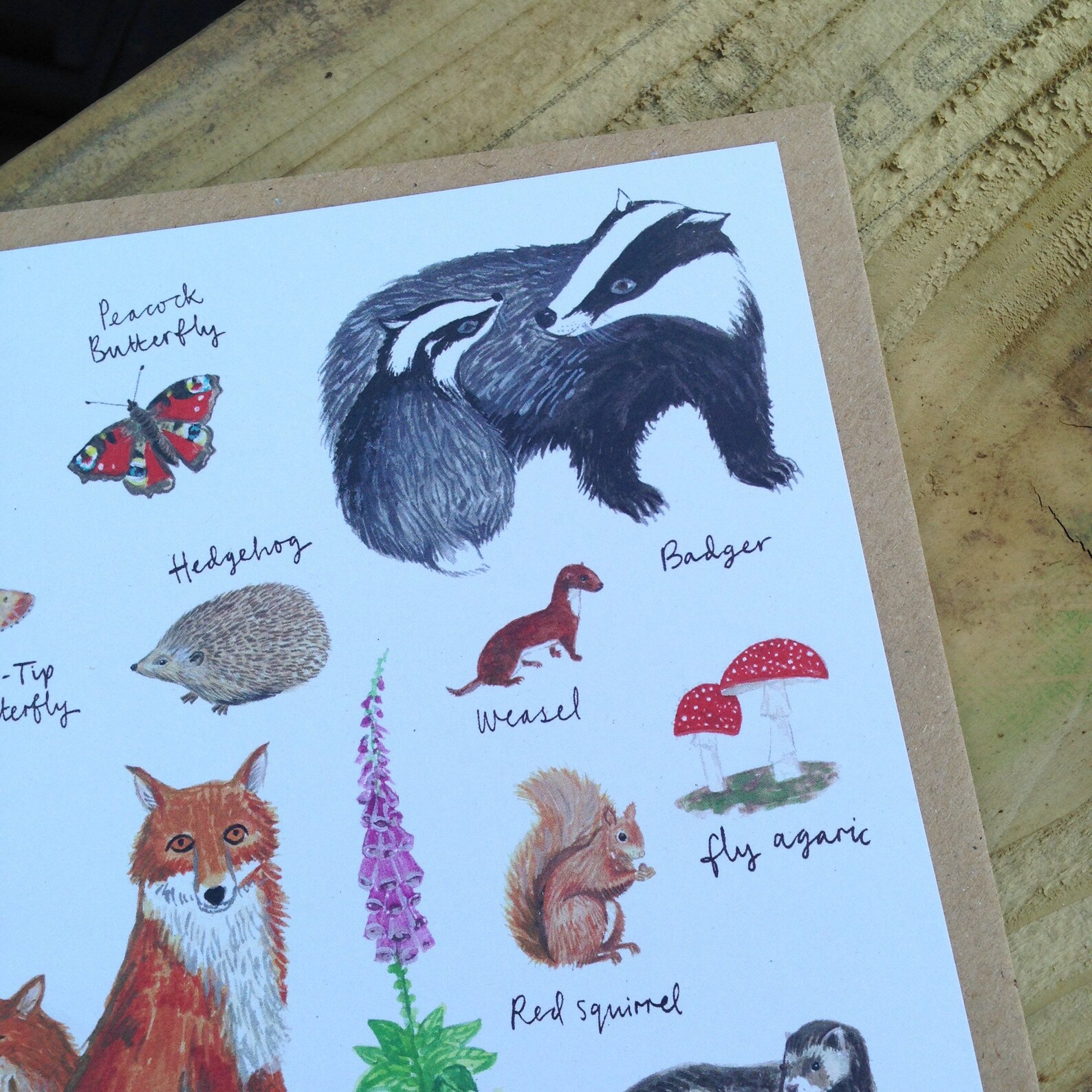 Woodland Creatures Card Animal Greeting Card UK Wildlife - Etsy