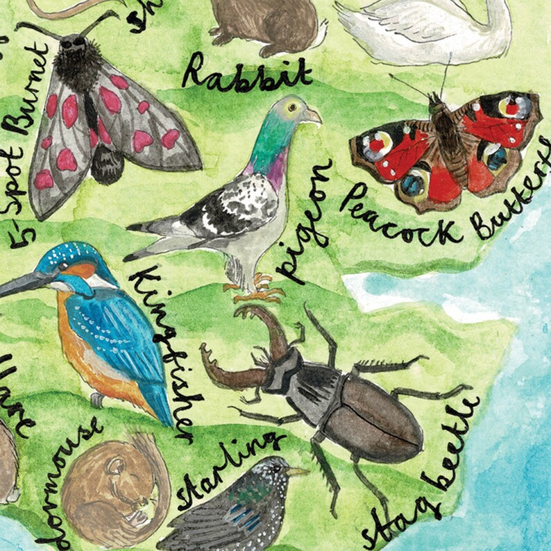 British Wildlife Map Animal Art Print - Etsy