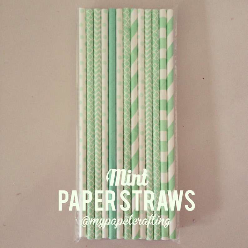 50 Mint Color Paper Straws for Wedding Decoration/ Pack - Etsy