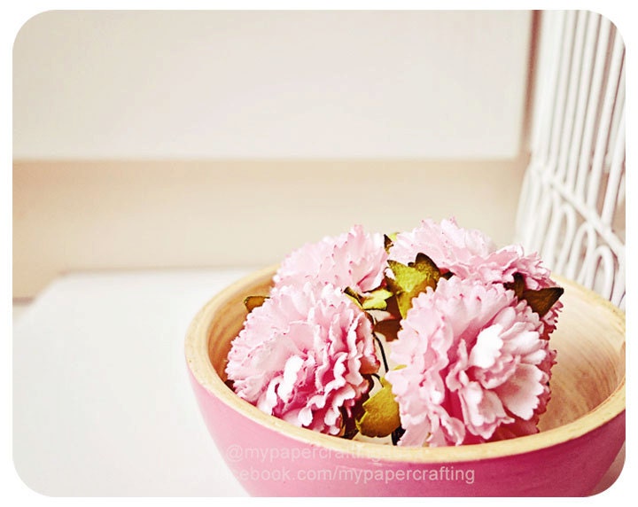 Carnation Paper Flower / Pack - Etsy