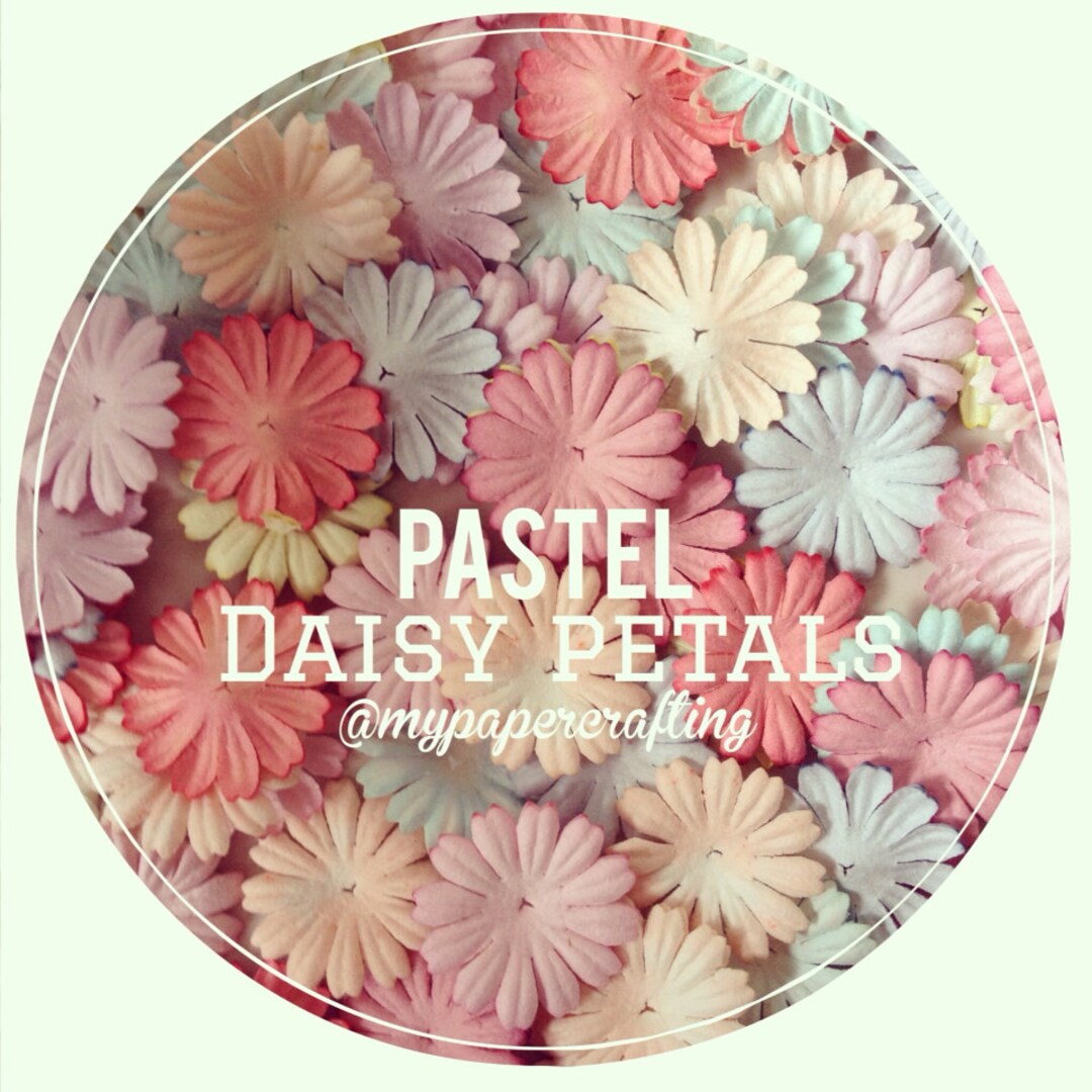 Mixed Pastel Daisy Petals / Pack - Etsy