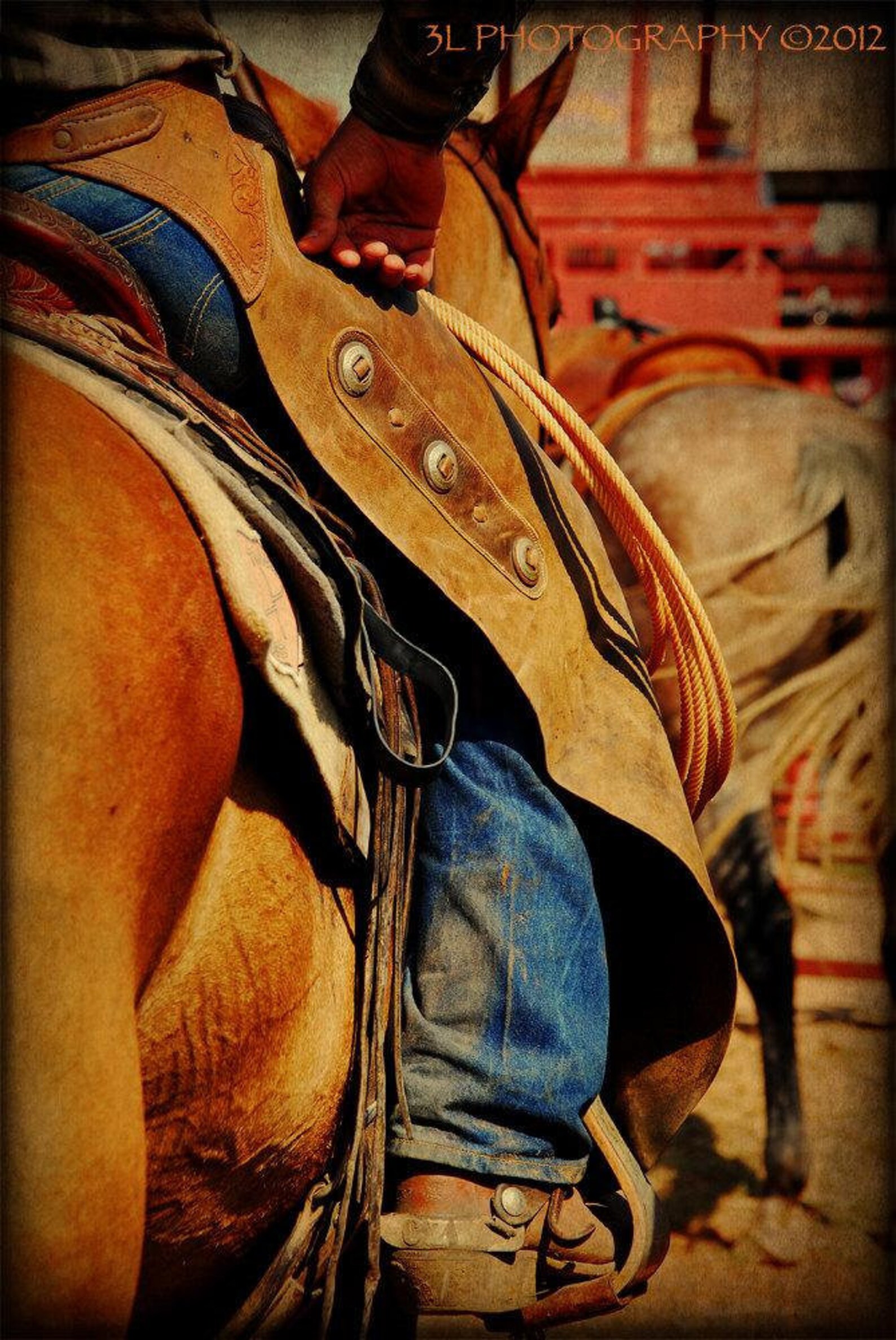 Cowboy Rodeo Country Western Texas Rustic Fine Art Photograph - Etsy