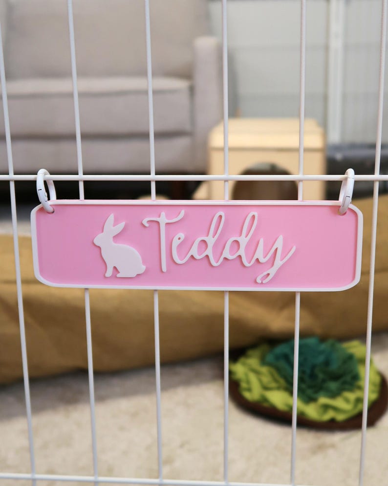Custom Rabbit Name Tag for Pet Bunny - Etsy
