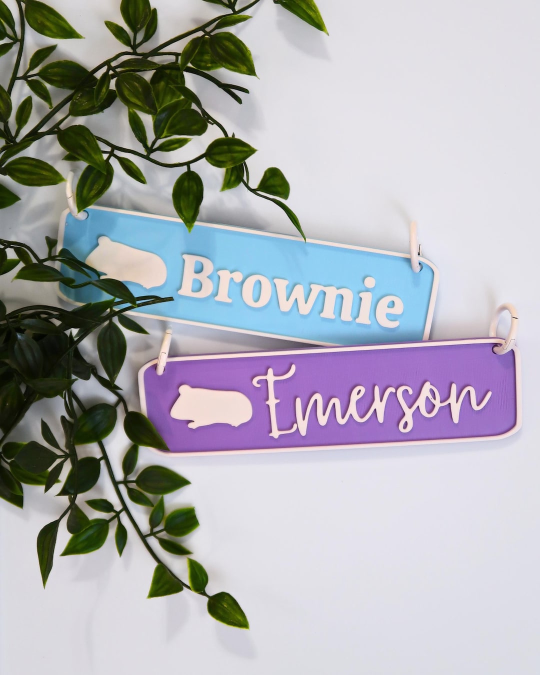 Custom Guinea Pig Cage Name Tag - Etsy
