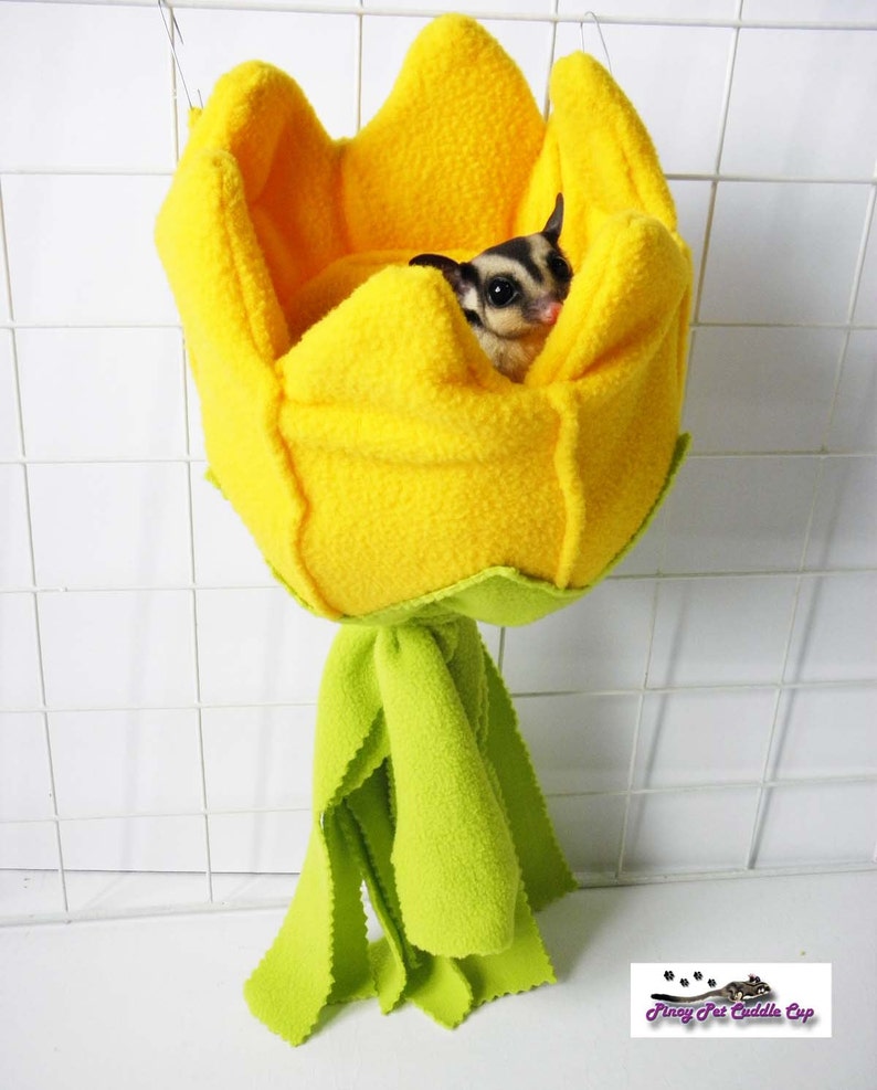 Sugar Glider, Rat, Small Pets Yellow Flower Pouch - Etsy