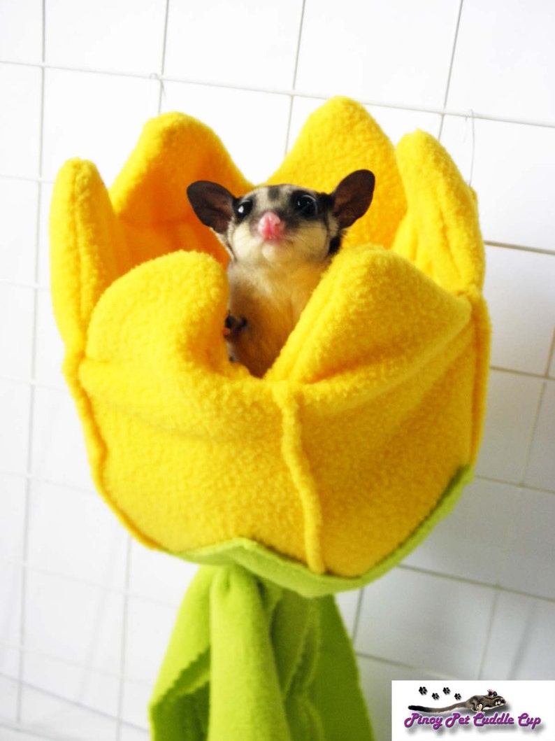 Sugar Glider, Rat, Small Pets Yellow Flower Pouch - Etsy