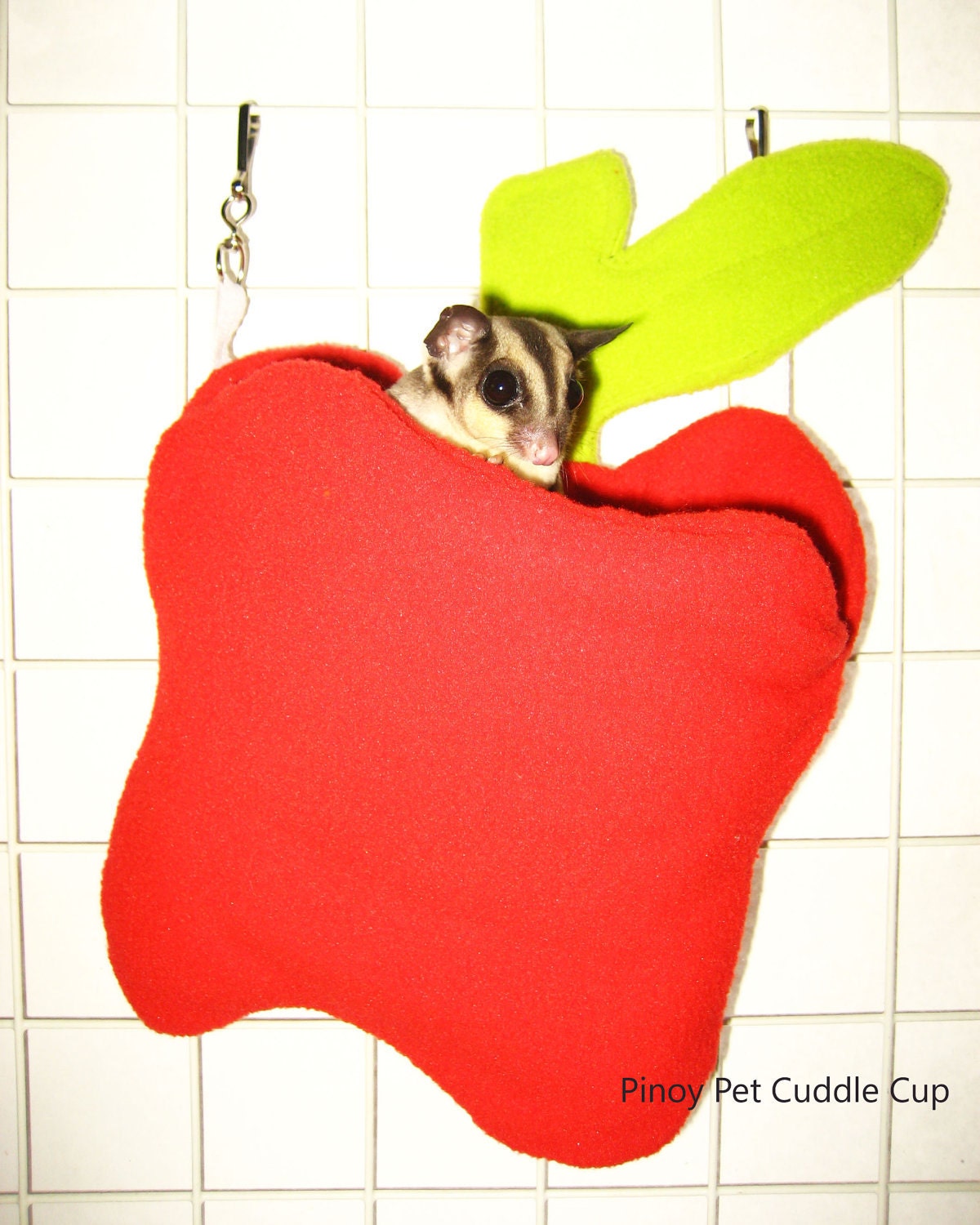 Sugar glider rat apple cage pouch | Etsy