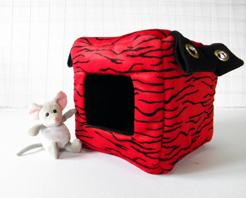 Sugar Glider and Rat Cube - Etsy