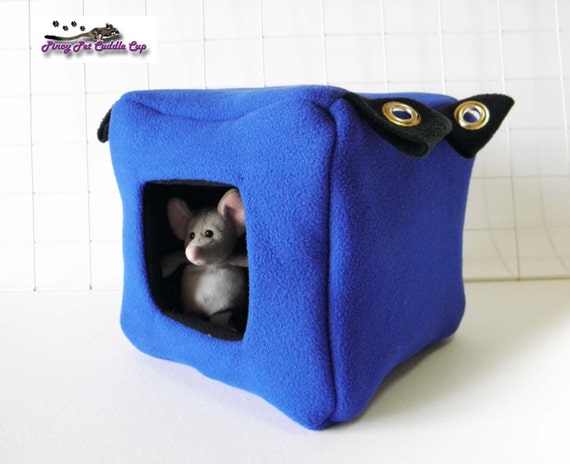 Sugar Glider and Rat Cube - Etsy