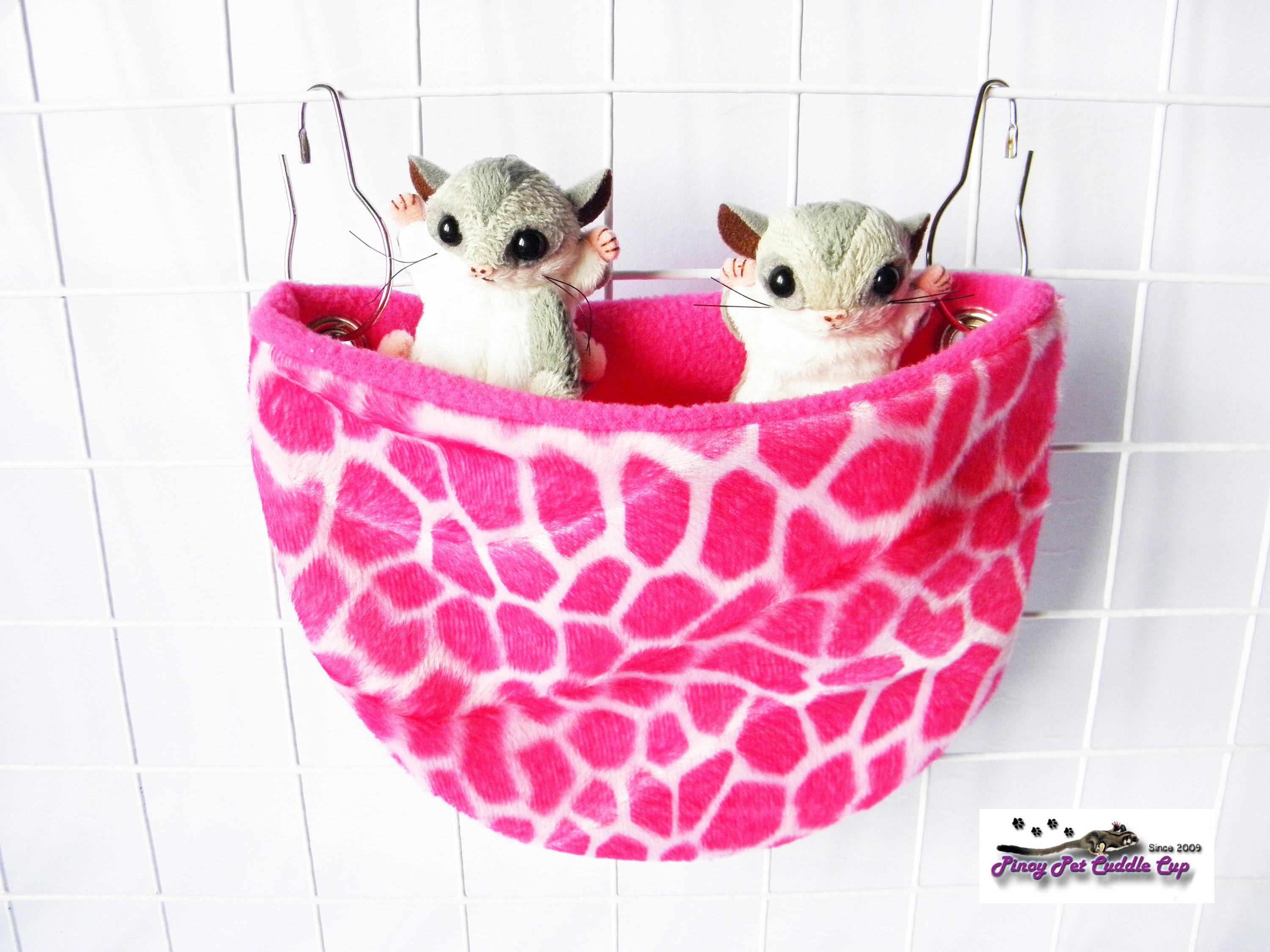 Sugar Glider Sleeping