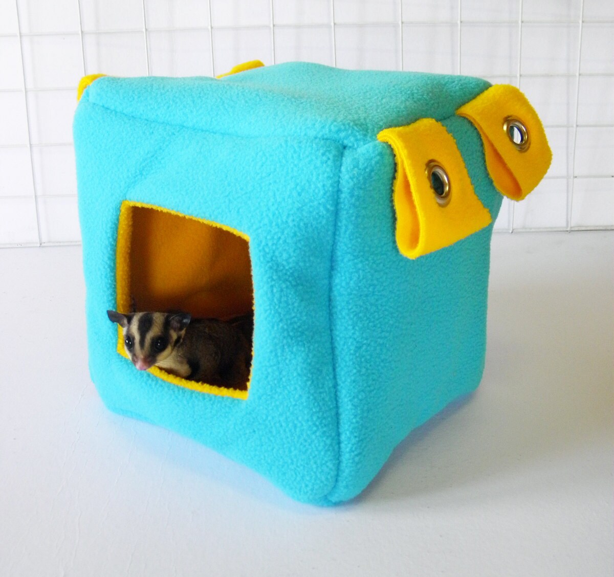 Sugar Glider and Rat Cube - Etsy