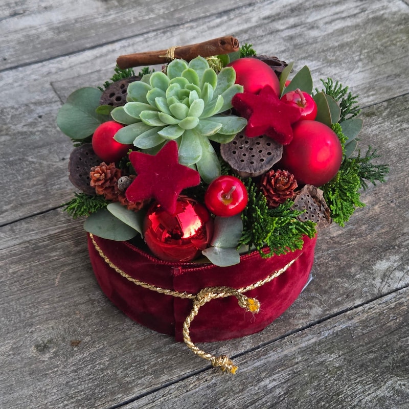 Sukkulenten vor rot - Etsy.de