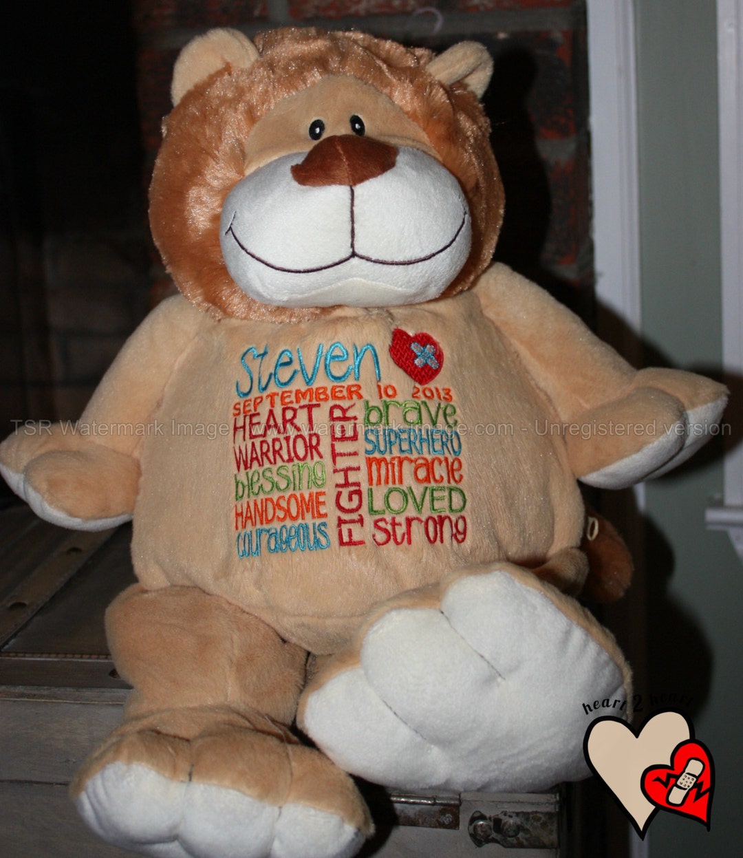 CHD, Warrior Pet, Personalized, Customized Plush Animal, Congenital ...
