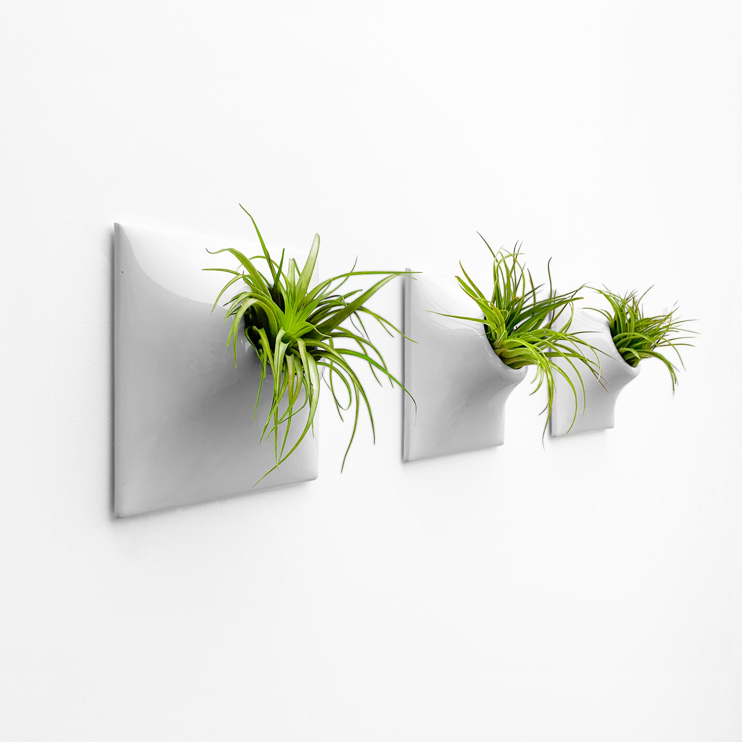Modern Gray Wall Planter Set, 9 Medium Ceramic Planter, Plant Wall Art ...