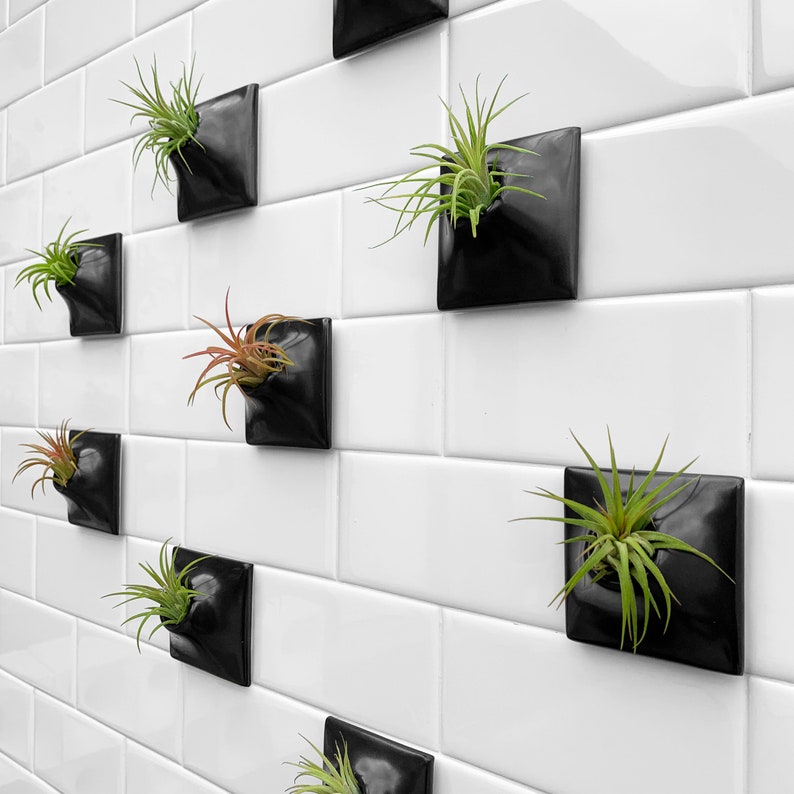 Modern Black Wall Planter 3 X Small Air Plant Holder - Etsy