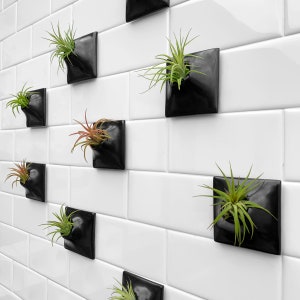 Modern Black Wall Planter Set, X Small 3 Air Plant Holder, Indoor ...