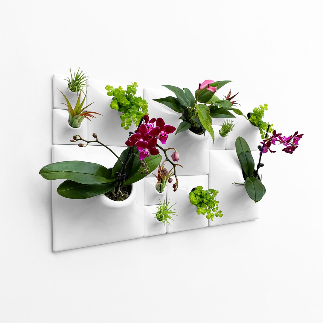 Modern Wall Planter Greenwall, Mid Century Modern Wall Decor, Moss Wall ...