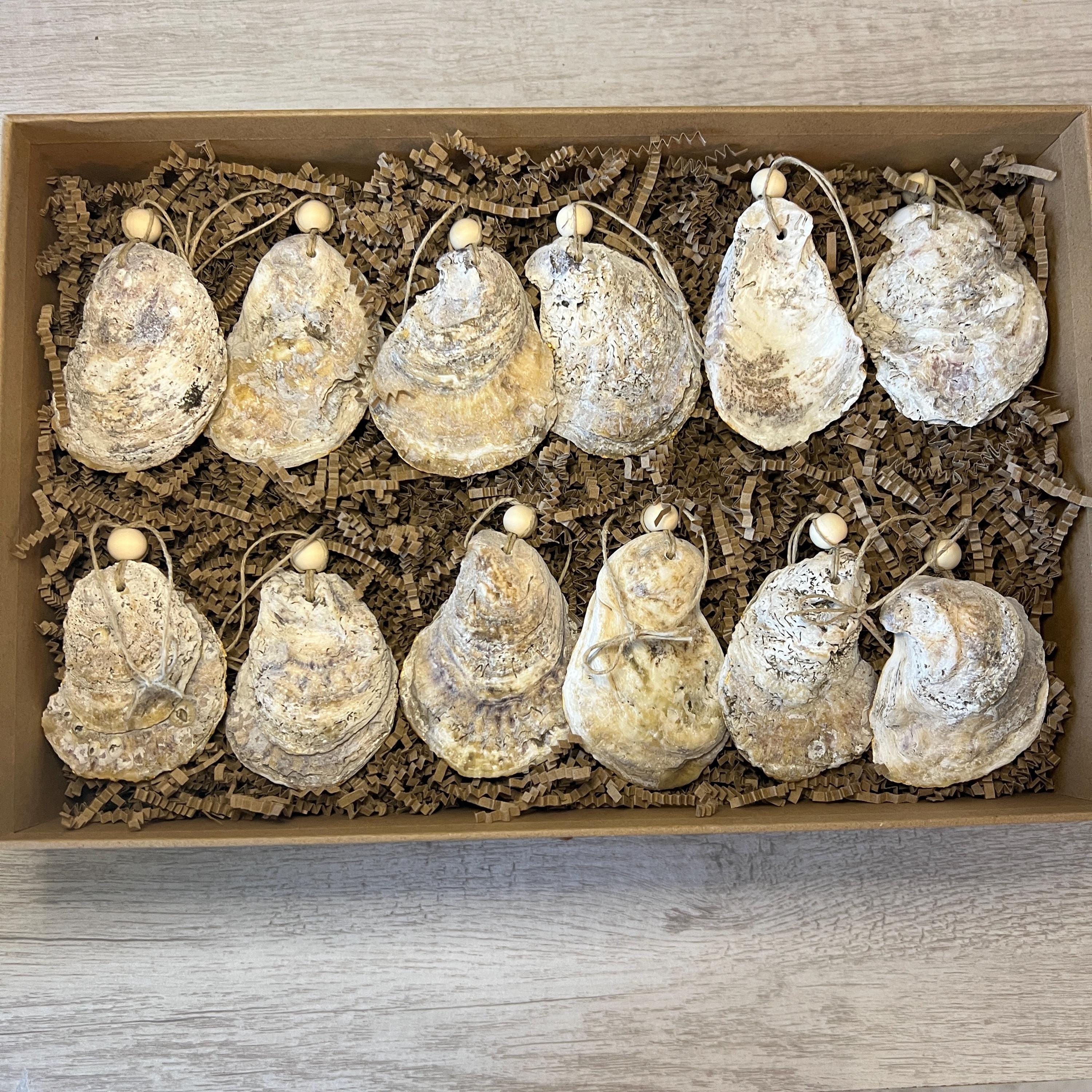 12 Days of Christmas Oyster Shell Ornaments: Coastal Holiday Decor - Etsy