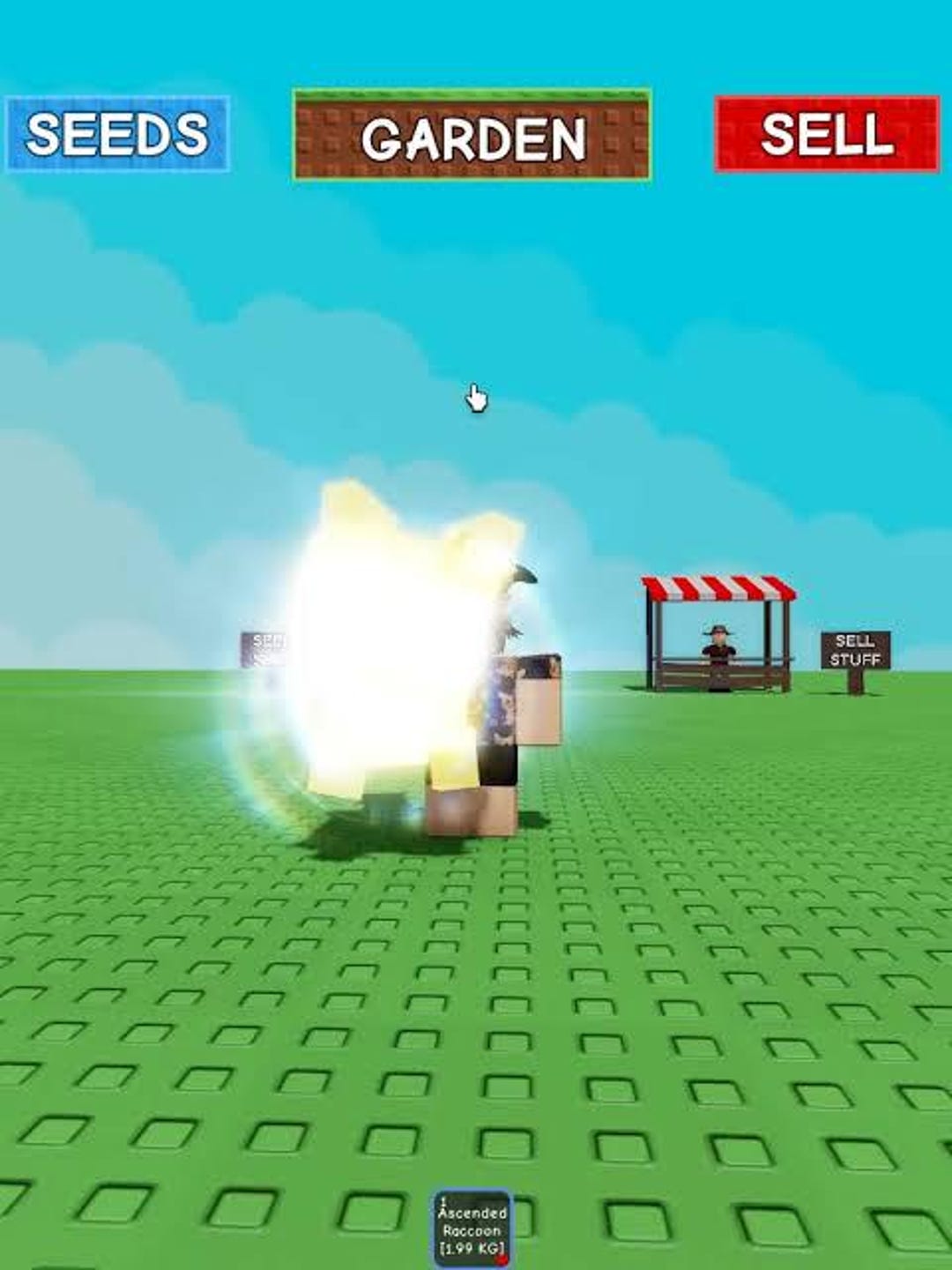 Ascended Raccoon| Roblox Grow A Garden | Rare | Legendary | Mythical ...