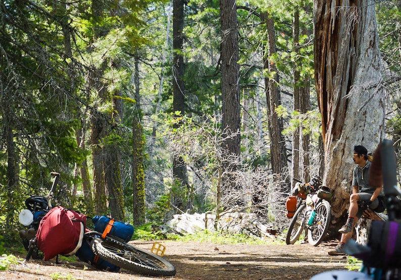 The Jumbo Jammer Bike Packing/bike Touring/bicycle Handlebar | Etsy