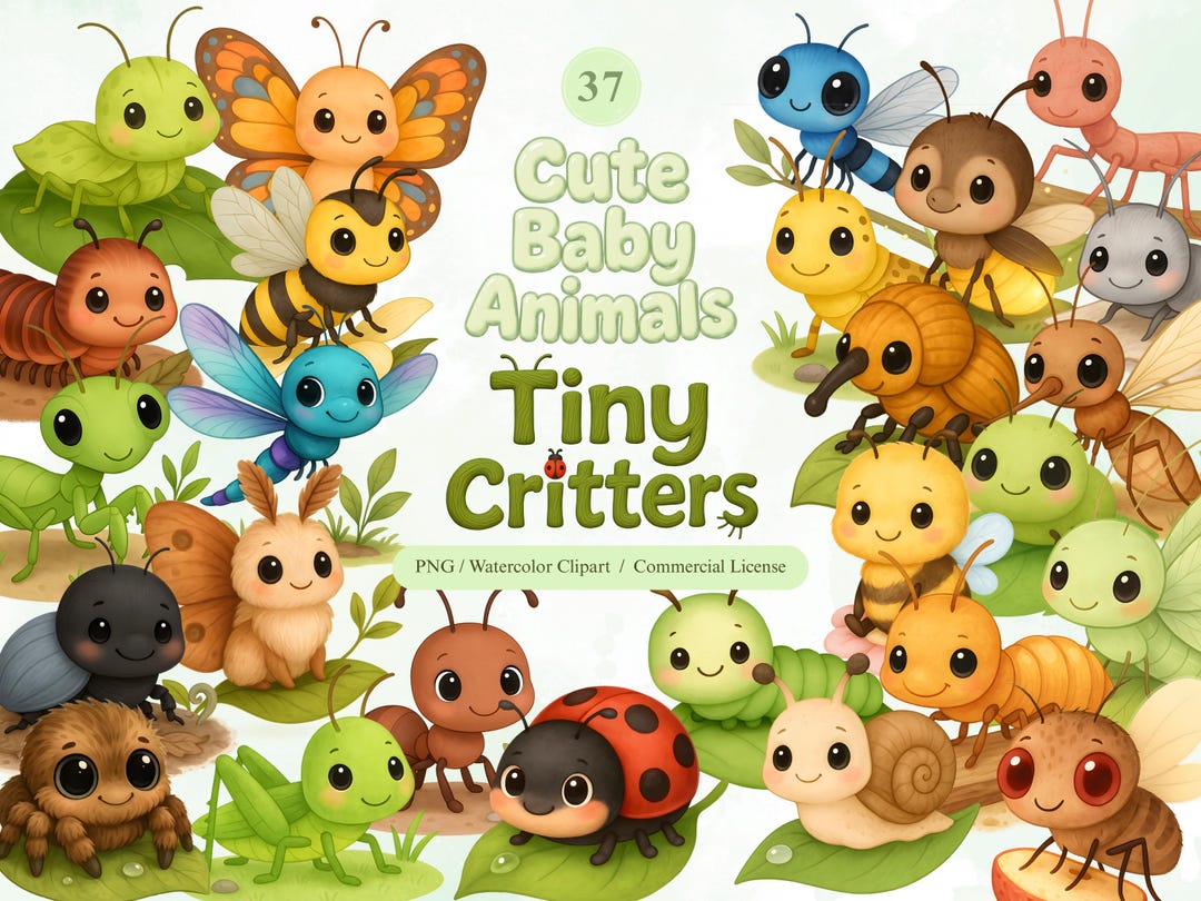 Tiny Critters Clipart, Baby Animal PNG Bundle, Cute Butterfly Bee Snail ...