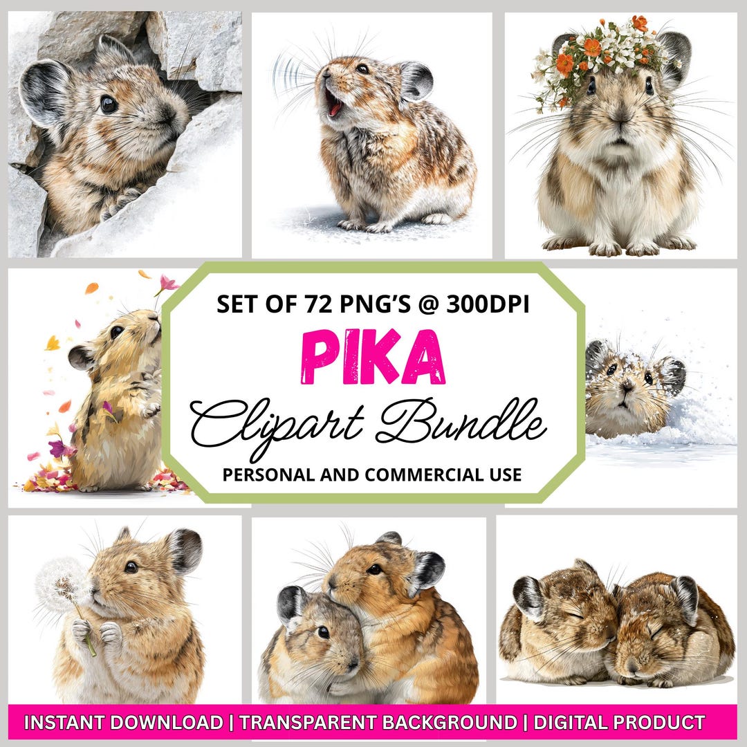 Cute Pika PNG Clipart Bundle | Vector Wildlife Illustrations (digital ...