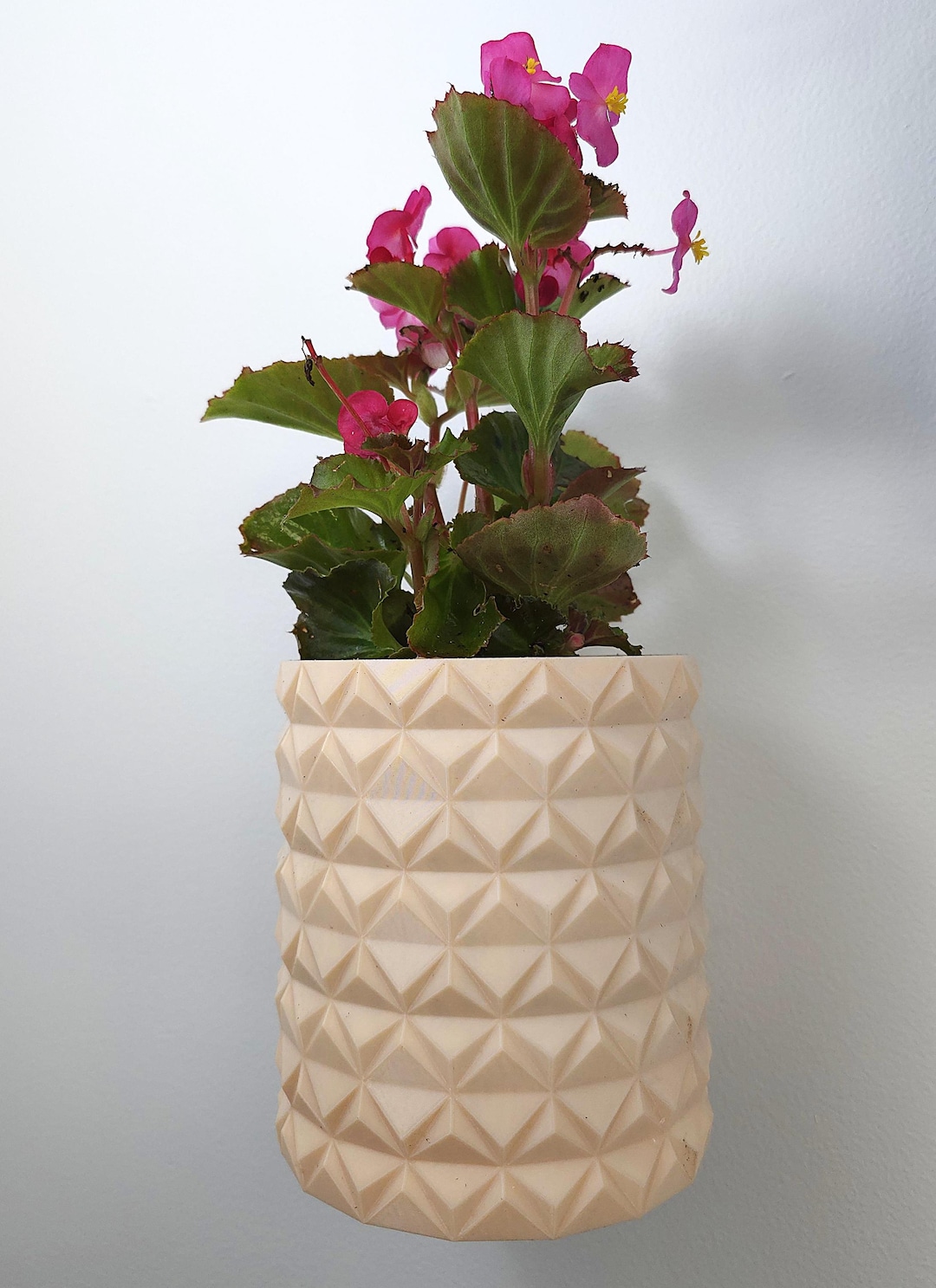 Modern Geometric Diamond Wall Planter With Dovetail Wall Mount ...