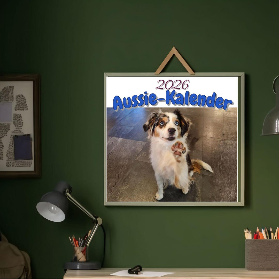 Aussie Kalender 2026: Australian Shepherds und Mini Australian ...