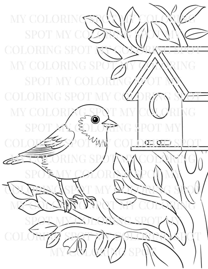 15 Bluebird Coloring Pages for Kids and Adults PDF Printables - Etsy