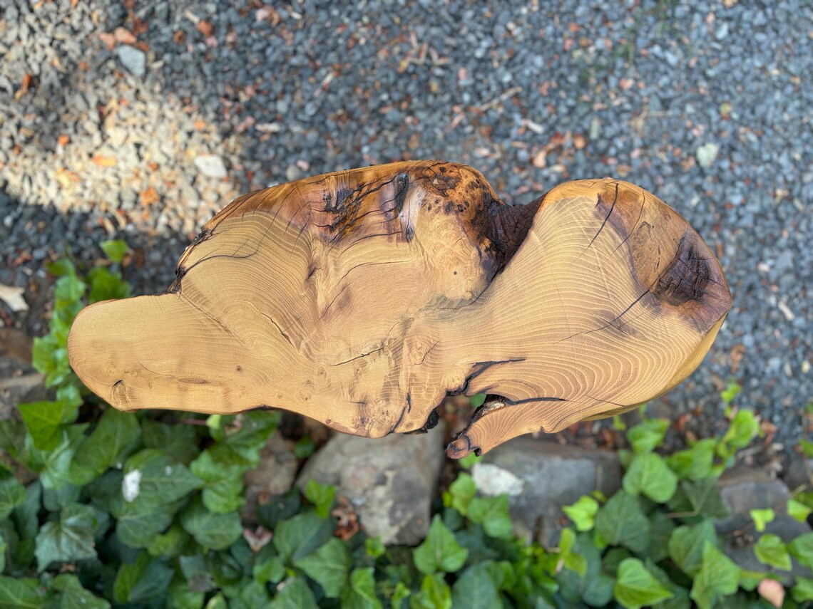 Natural Wood Side Table Rustic Home Furnishings Sustainably Handcrafted ...