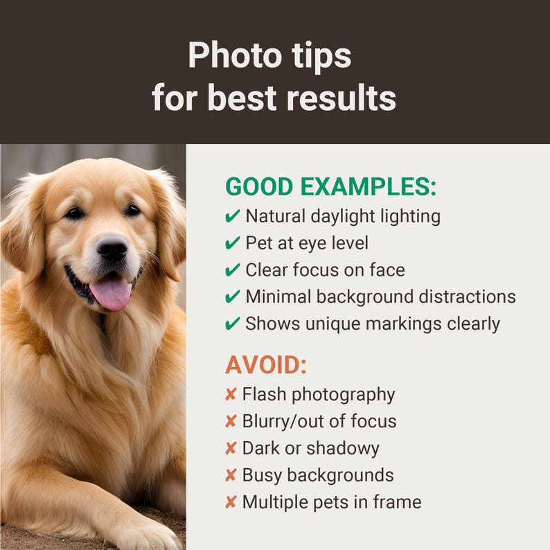 Custom Pet Mug Memorial, Rainbow Bridge Watercolor Flowers From Photo ...